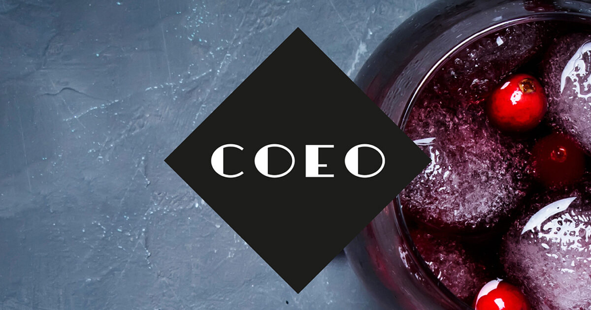 Hofegger Branding | Brand Identity für COEO